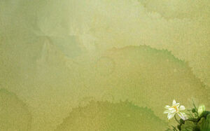 Latar belakang PPT seri bunga yang indah PowerPoint Template Free Download